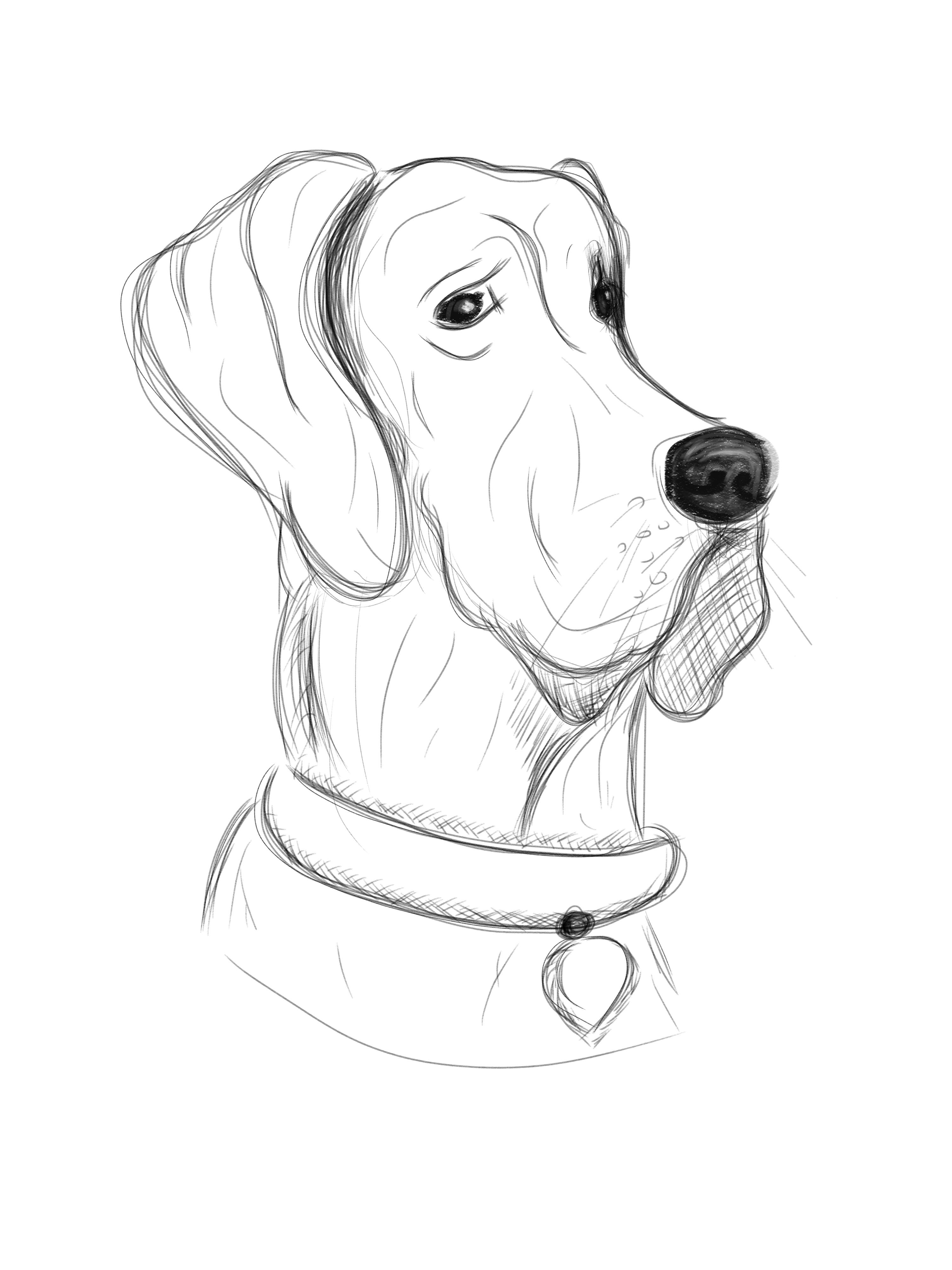 DMTR (@DMTR_daily) / Twitter