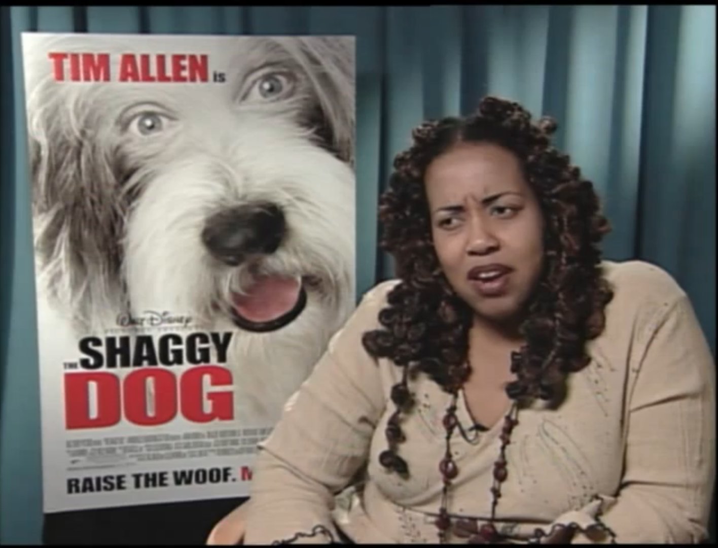 The Shaggy Dog Tim Allen