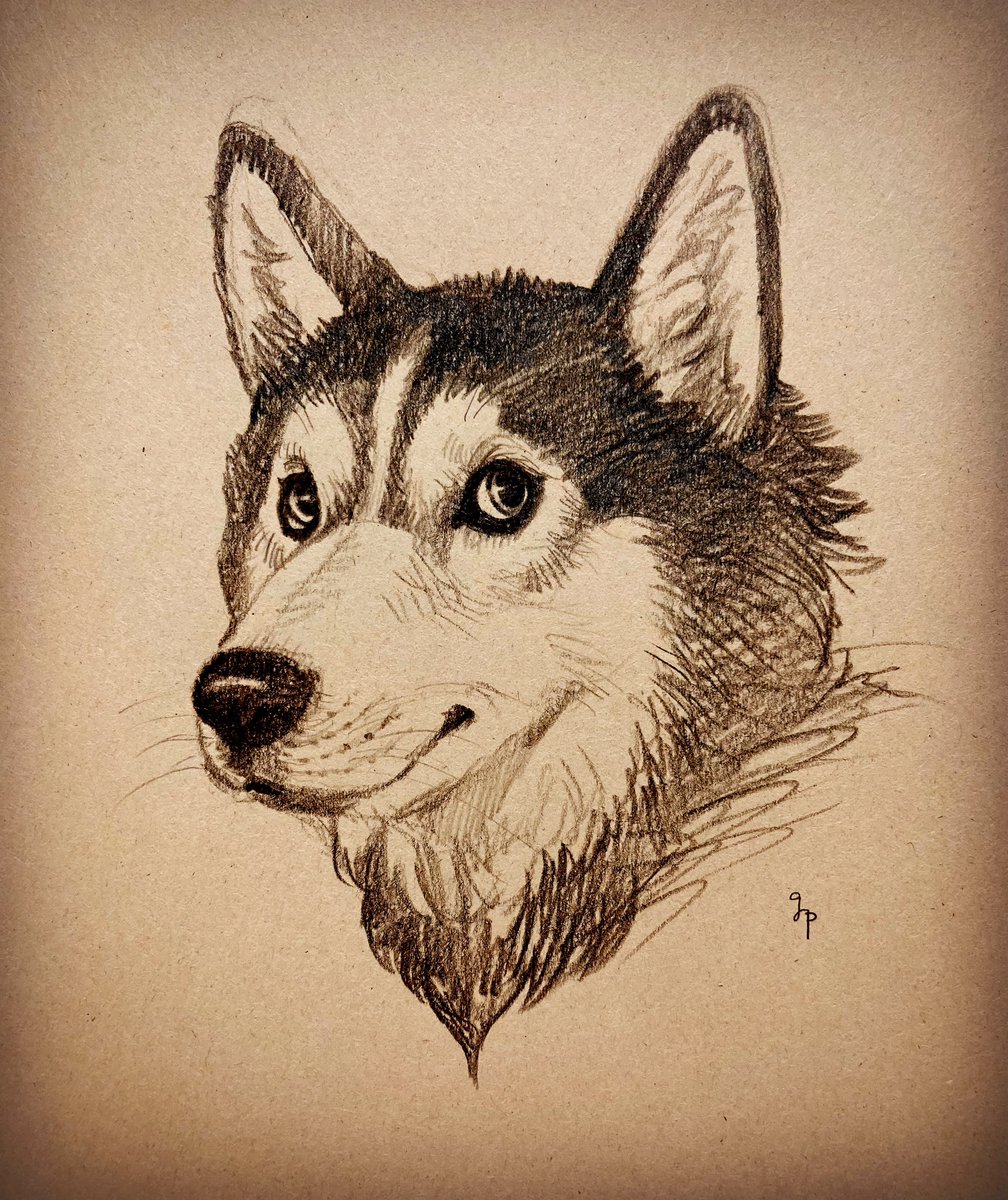 ganpuku (@gampy) さんのイラスト・マンガ作品まとめ (836 件) - Twoucan