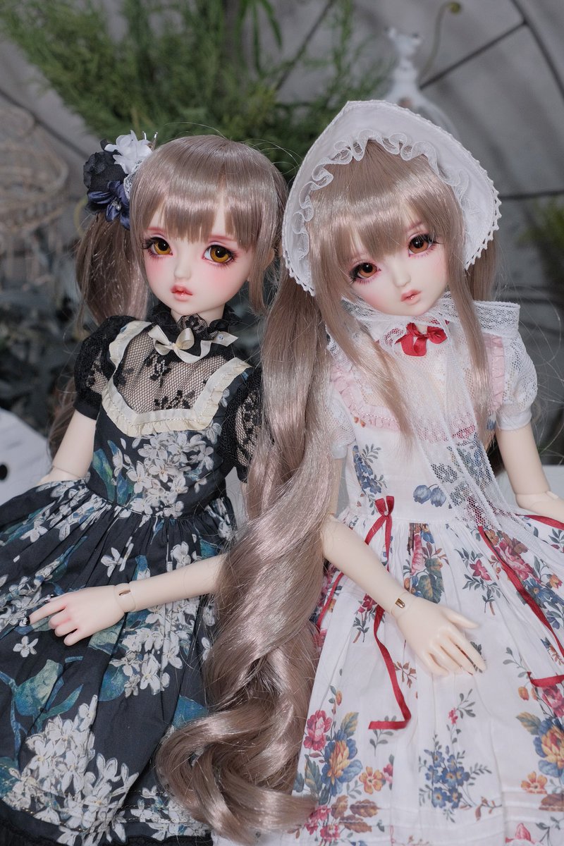 ⑅𝓟𝓔𝓟𝓔⑅ on Twitter: "念願のlacrimosaドレス合わせ🖤🤍 #sdgrサファイア #lacrimosaDress"