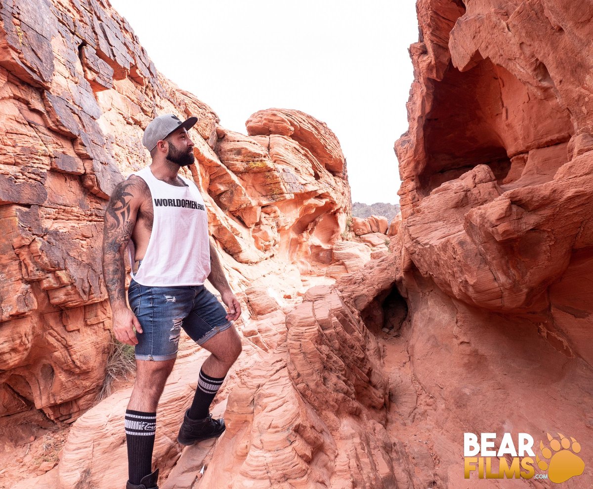 BearFilms on Twitter: "Where's the weirdest/ strangest place you last had sex? (pics for bonus ...