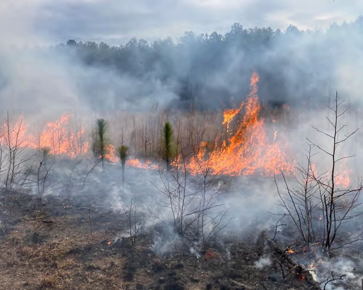 USFWS Fire on Twitter: USFWS Fire on Twitter: