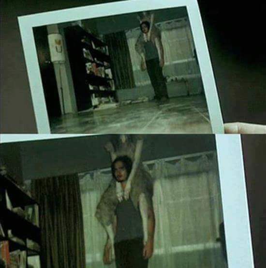 Shutter 2004