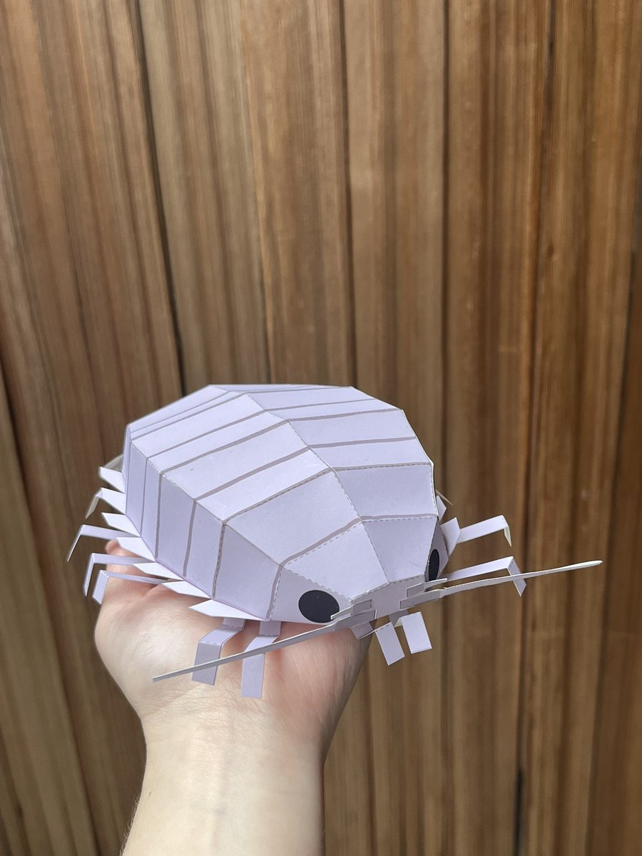 ∞ Pixel Fix 🎗️ on Twitter: "RT @sneepsnorp3d: giant isopod papercraft tweet blew up while i was ...