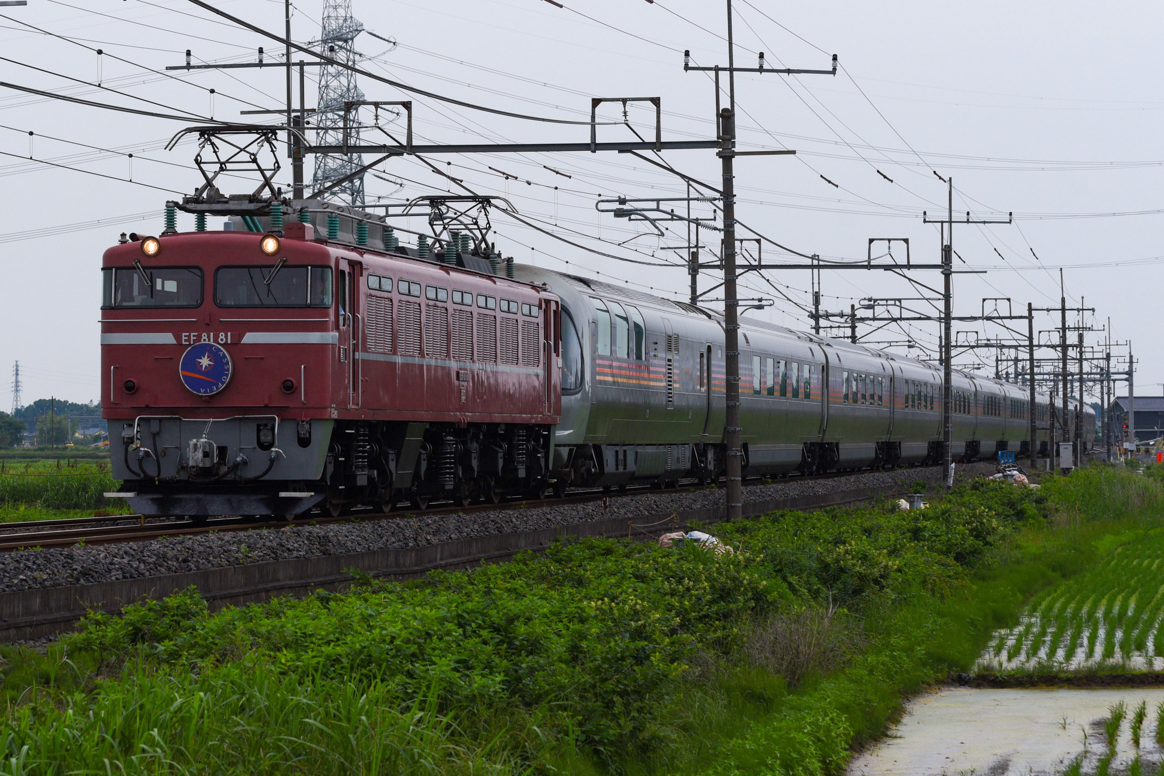 つるせ on Twitter: "2023/6/10 9011レ カシオペア紀行 青森行(夜行) EF81 81+E26系12B なんか頭に生えてる https://t.co ...