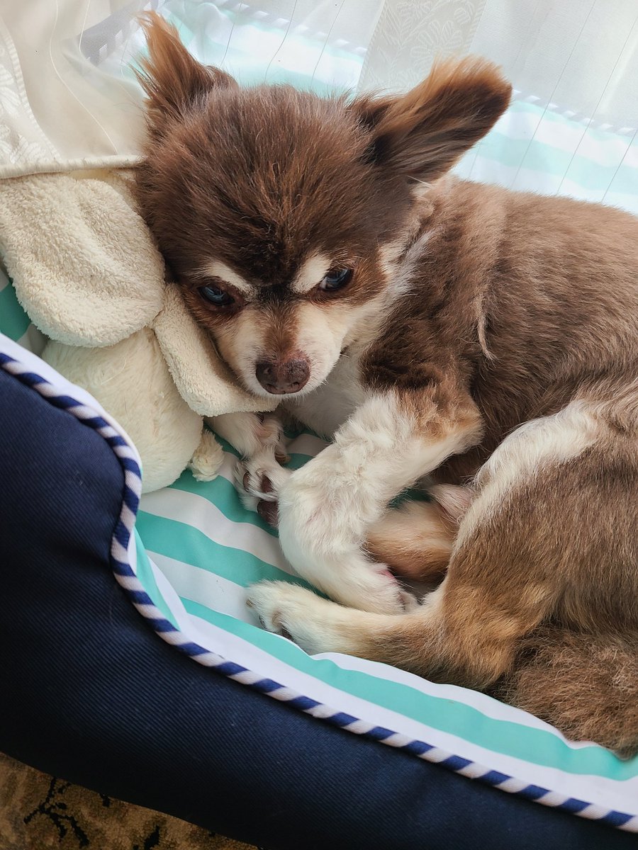 夢名(@yumena_TRPG) - Twilog