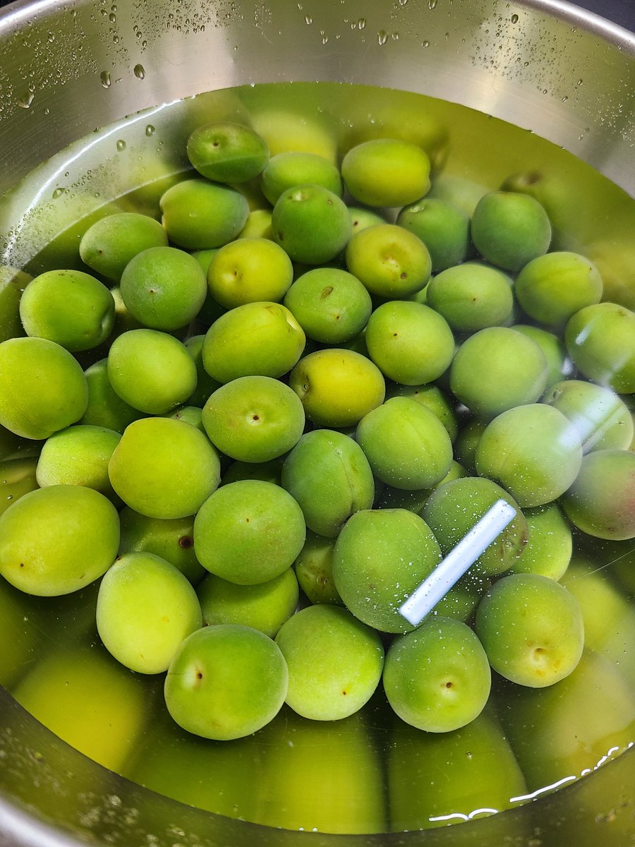 夢名(@yumena_TRPG) - Twilog