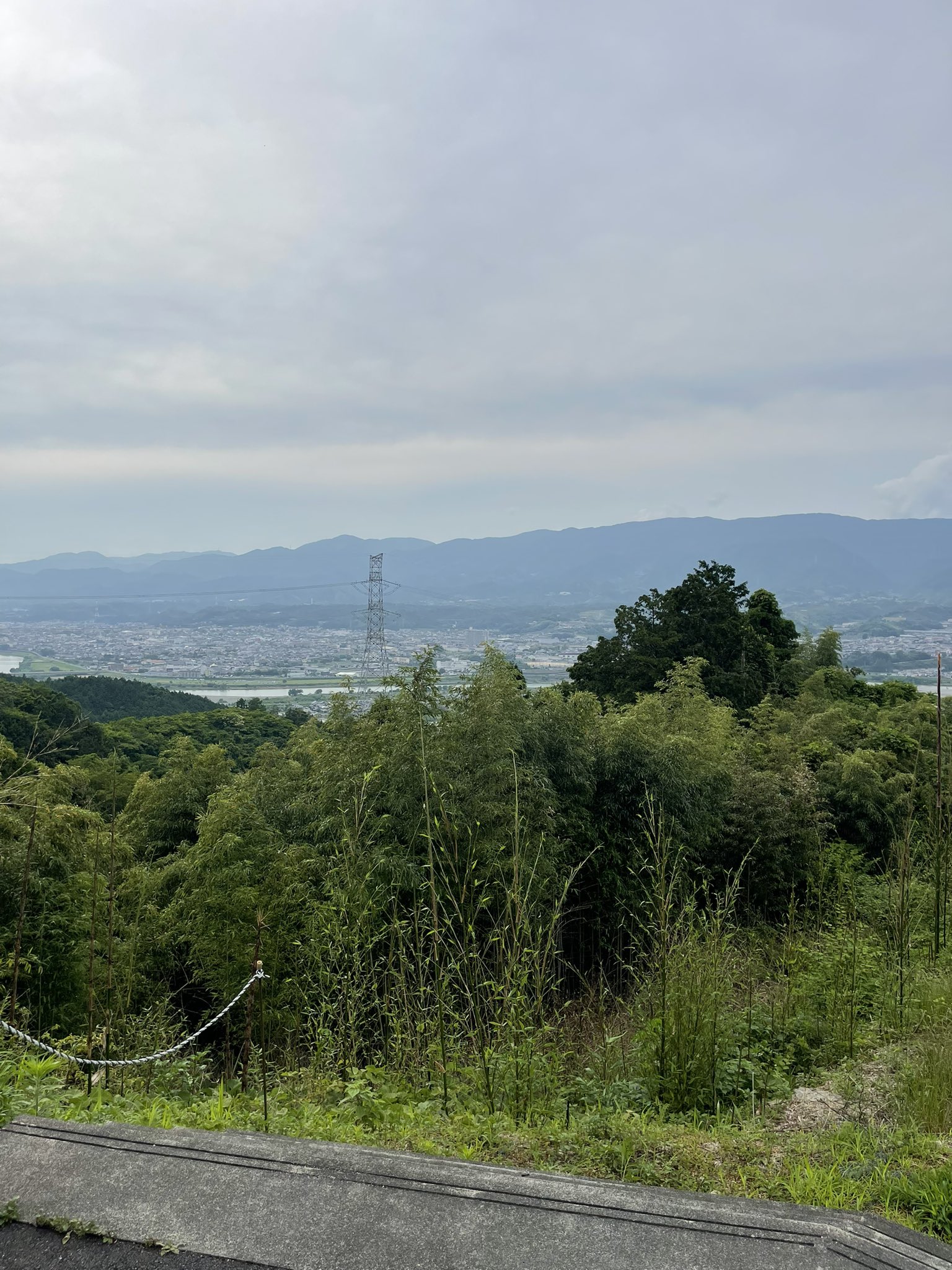 MODDY DOGGY(MOD) (@MODDY_DOGGY) / Twitter