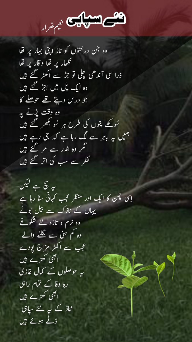 Naeem Zarrar On Twitter نئے سپاہی وہ جن درختوں کو ناز اپنی بہار پر تھا نکھار پر تھا وقار پر