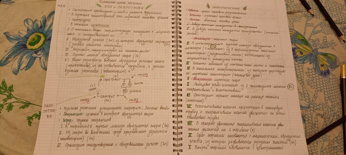 ω・ On Twitter эта хуйня испортила мне психику поэтому я хочу
