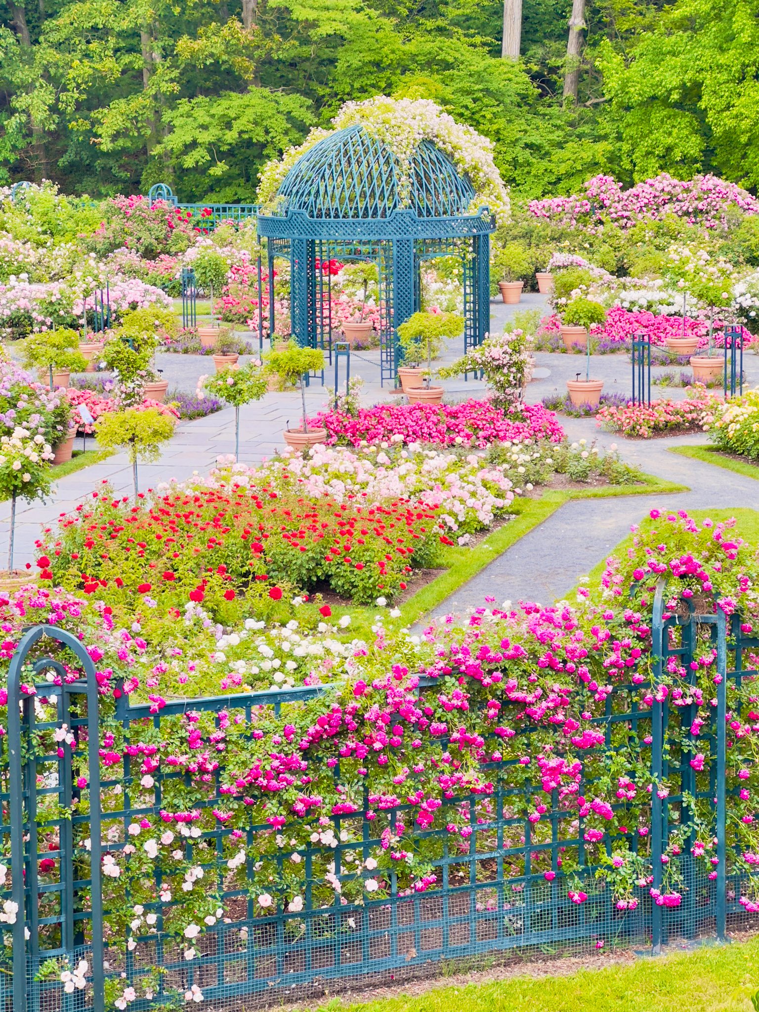 Most Beautiful Rose Garden How To Create A Beautiful Rose Garden