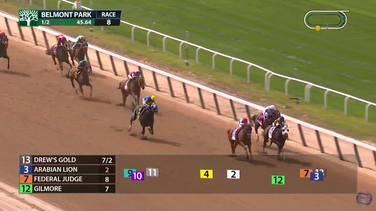 World Horse Racing on Twitter: World Horse Racing on Twitter: