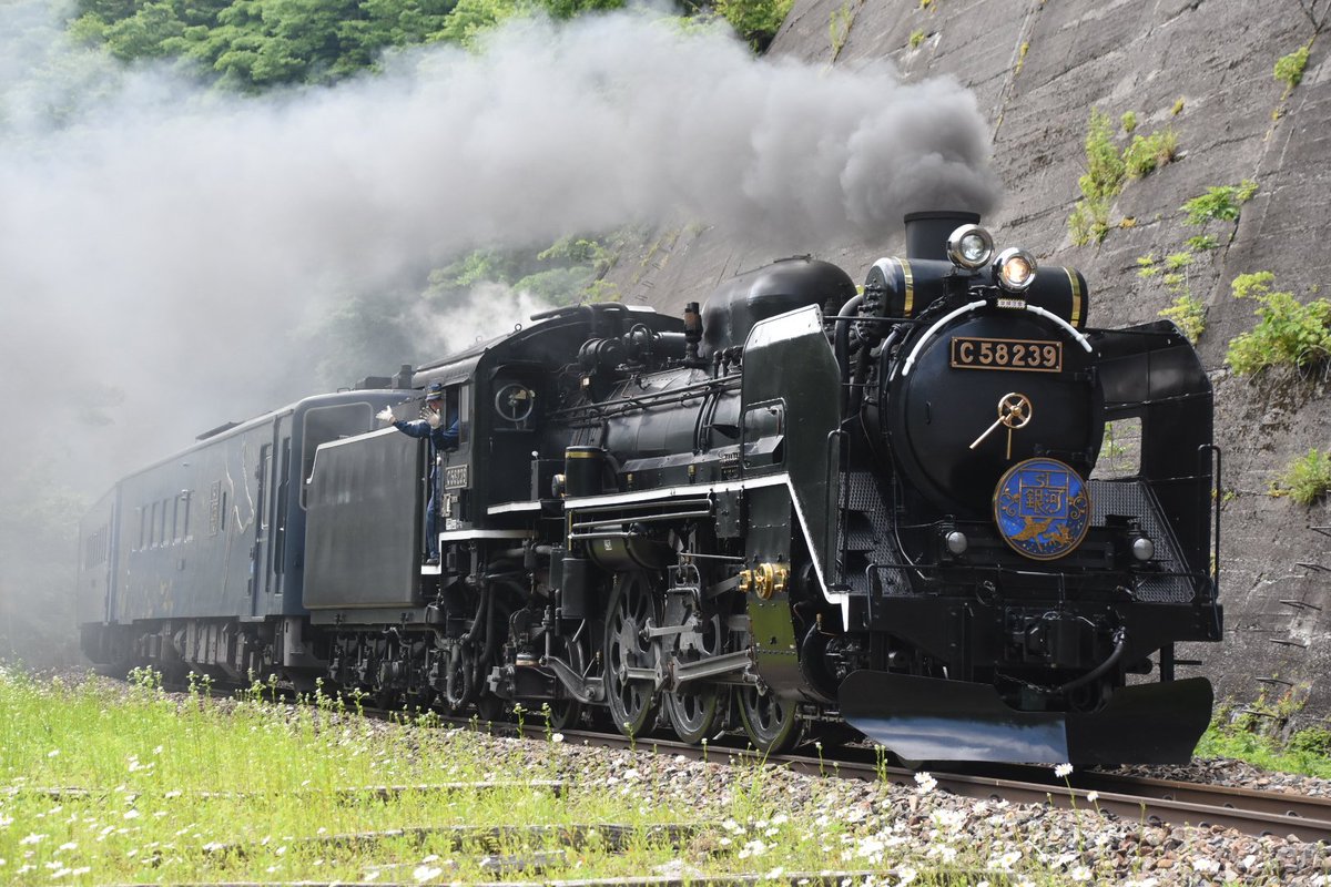 ユウタカ on Twitter: "2023/6/10 団臨SL銀河 釜石行 ラストラン C58-239+キハ141系 釜石線上有住駅 住田町のご当地キャラ「すみっこ」登場など､かなりの ...