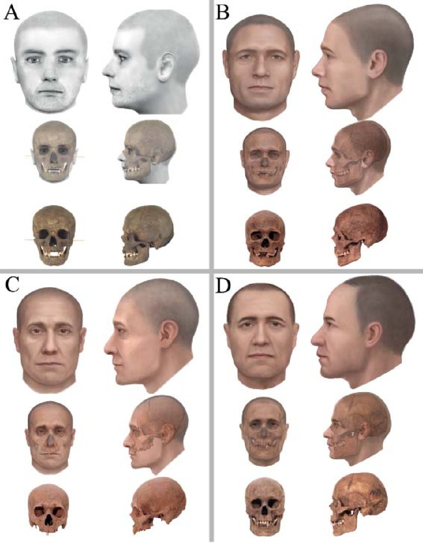 Slavic Face Shape