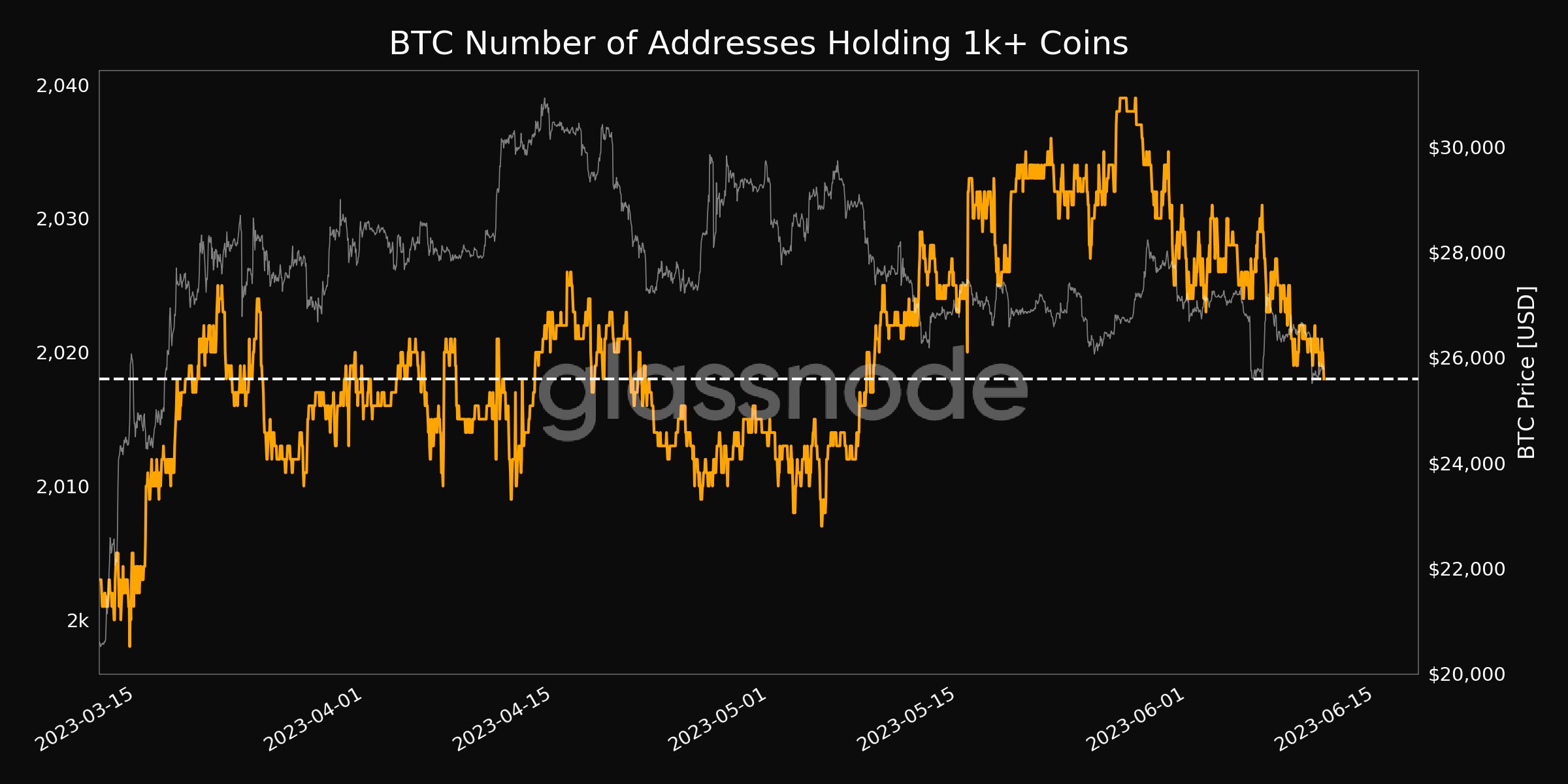 glassnode alerts on Twitter: "📉 #Bitcoin $BTC Number of Addresses Holding 1k+ Coins just reached ...