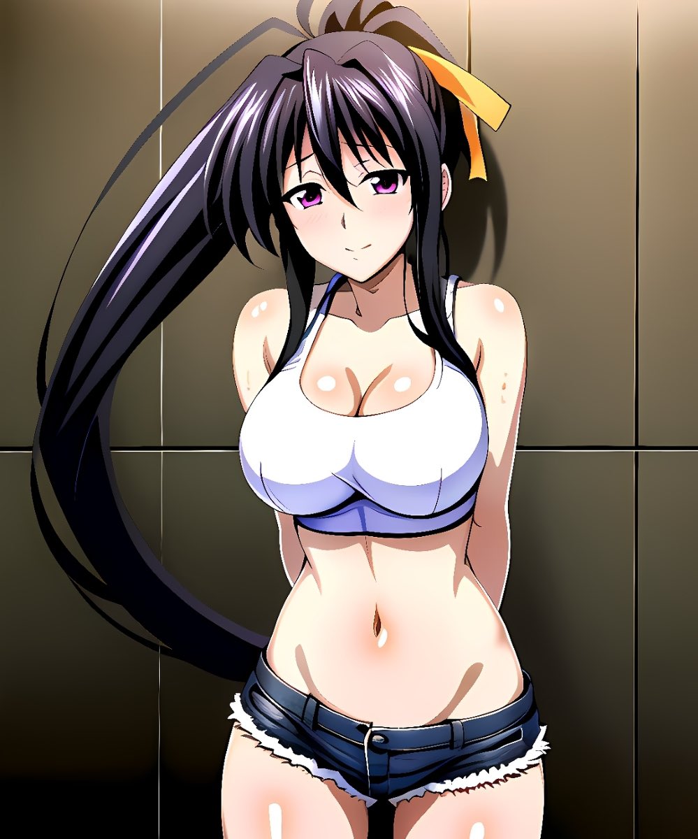Waifu_Paradise on Twitter: "Akeno Himejima 🖤 High school dxd"