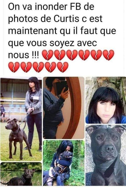 Anne Montarou on Twitter: Anne Montarou on Twitter: