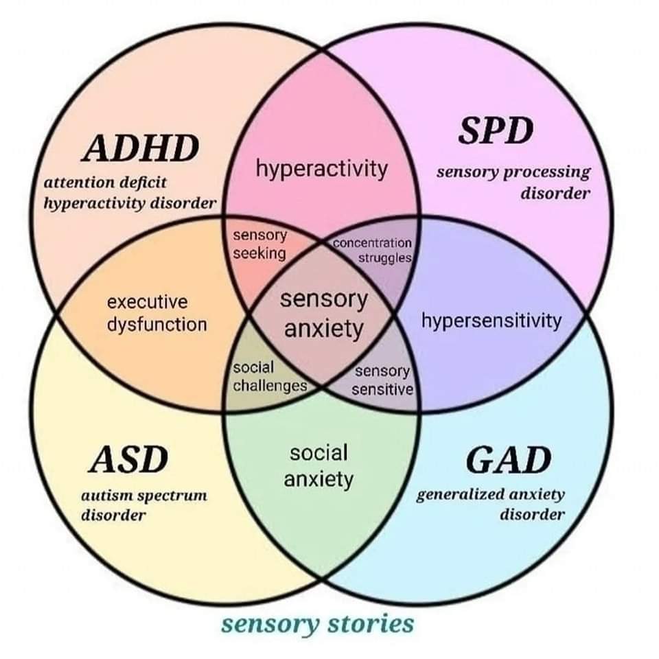 Venn Diagram Adhd Autism Ted Neurodiversity Education
