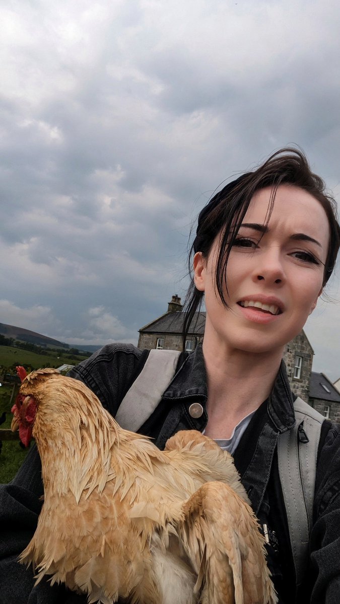 Louise Sugden on Twitter: "not warhammer but I got this wet chicken absolute scenes"