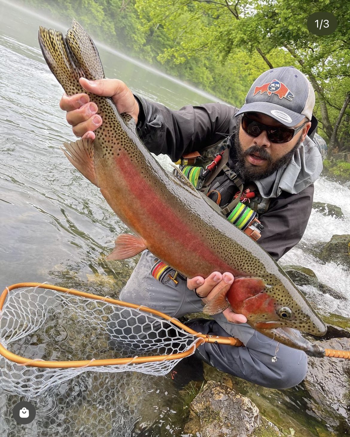 World Record Golden Trout