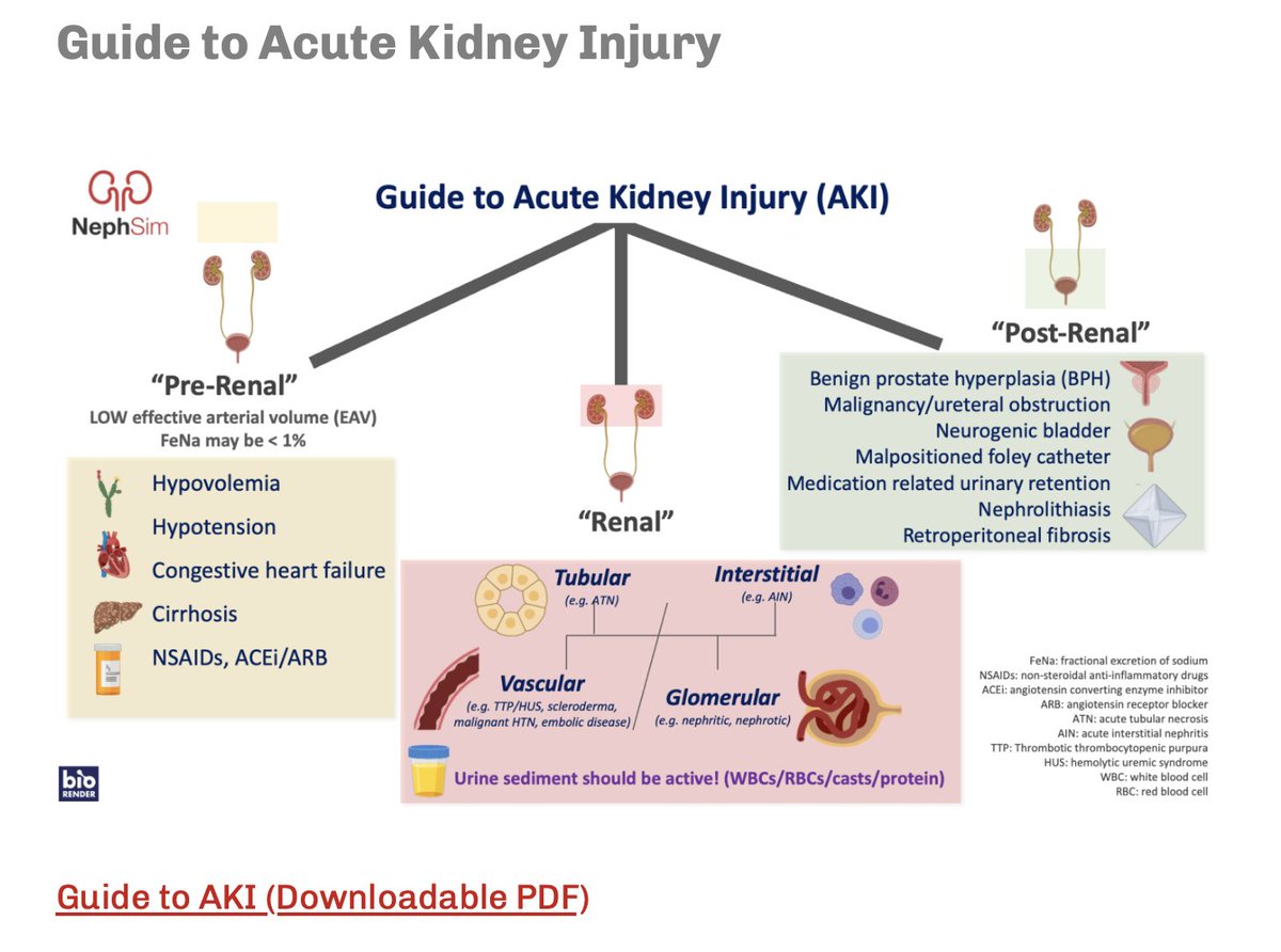 NephSIM on Twitter: "2/10 Acute kidney injury (#AKI) Our guide: https://nephsim.com/image ...