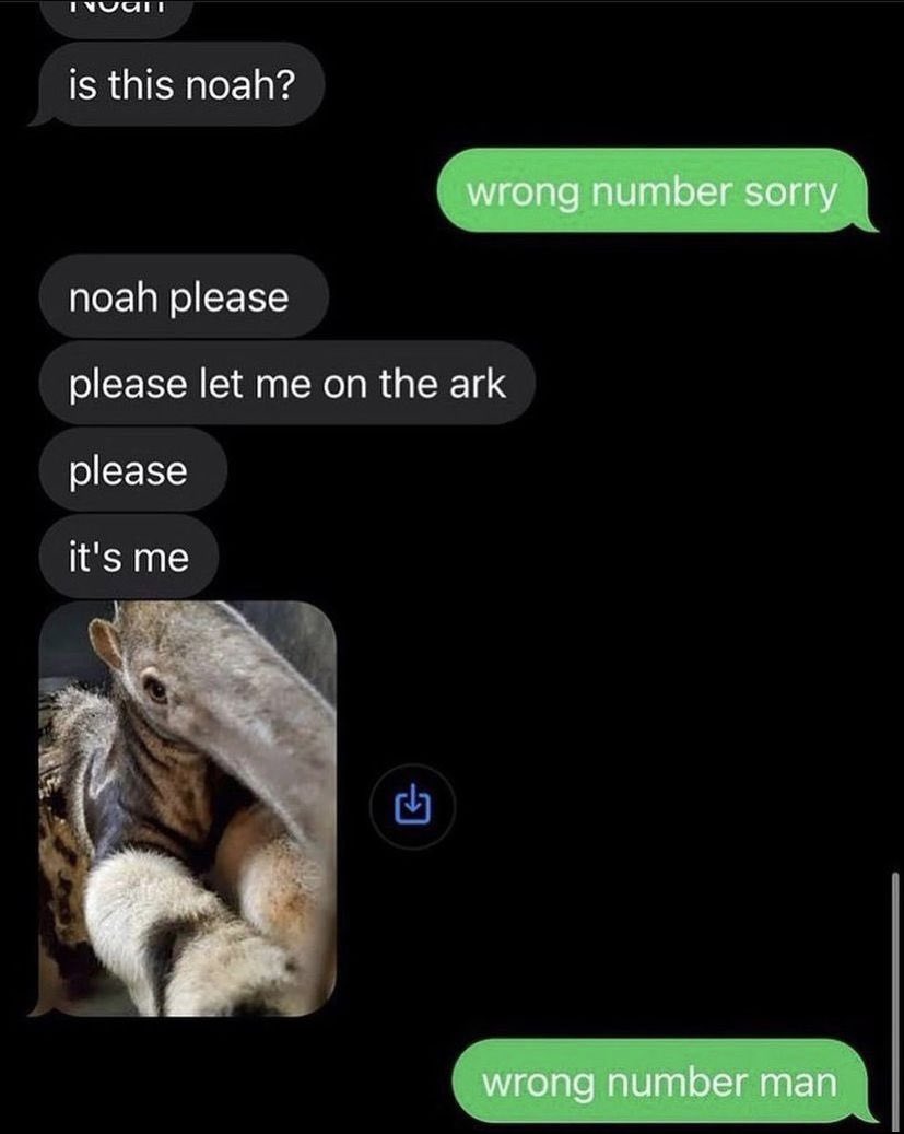 NoahWPlays on Twitter: "should i let him on?"