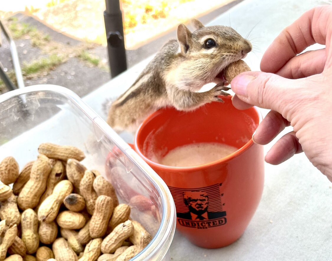 Room Rater on Twitter: "Top @ProjectLincoln set up-along with @stuartpstevens, Sorry ...