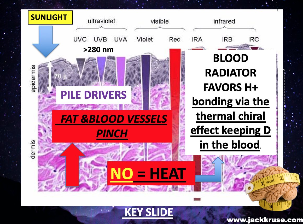 1. What happens when a dermatologist from high latitude examines the ...