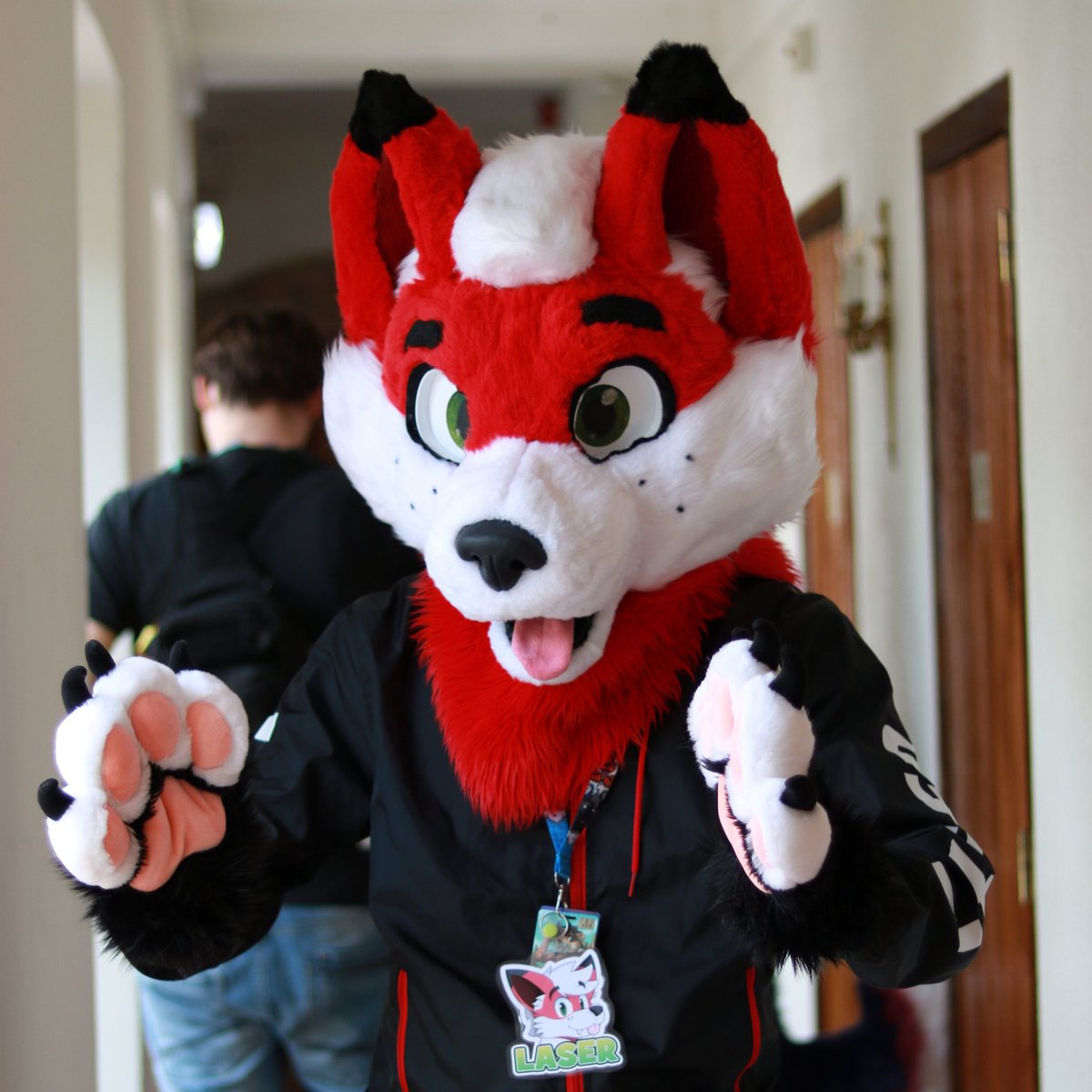 Laser The Sharkfox On Twitter Suit Vs Suiter