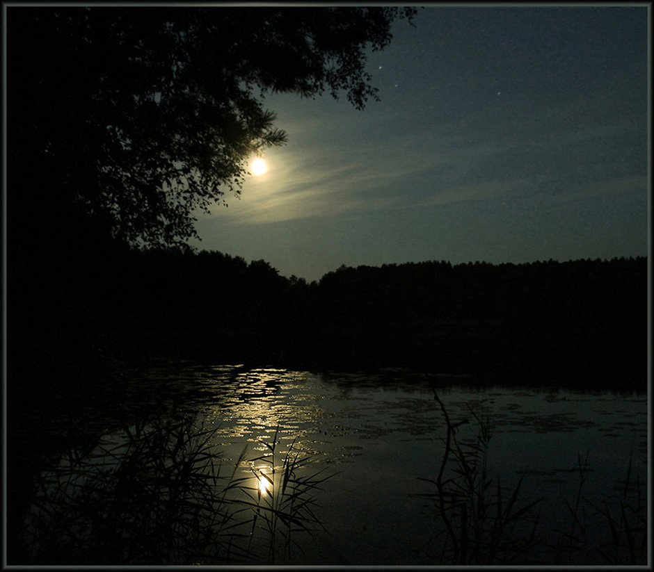 Olya on Twitter: "Night.."