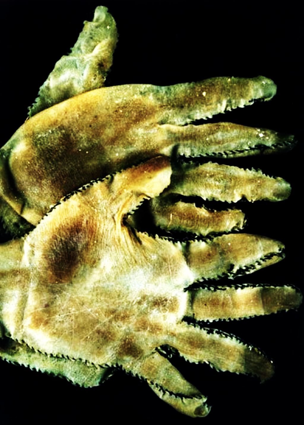 Ed Gein Actual Skin Suit