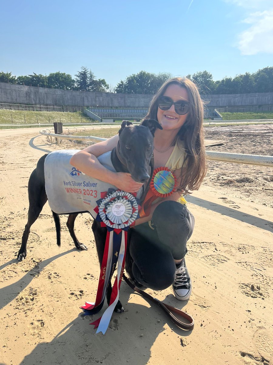 Emma Buckley on Twitter: "He’s only gone and bloody done it!!! Flashing Willow the Kent Silver ...