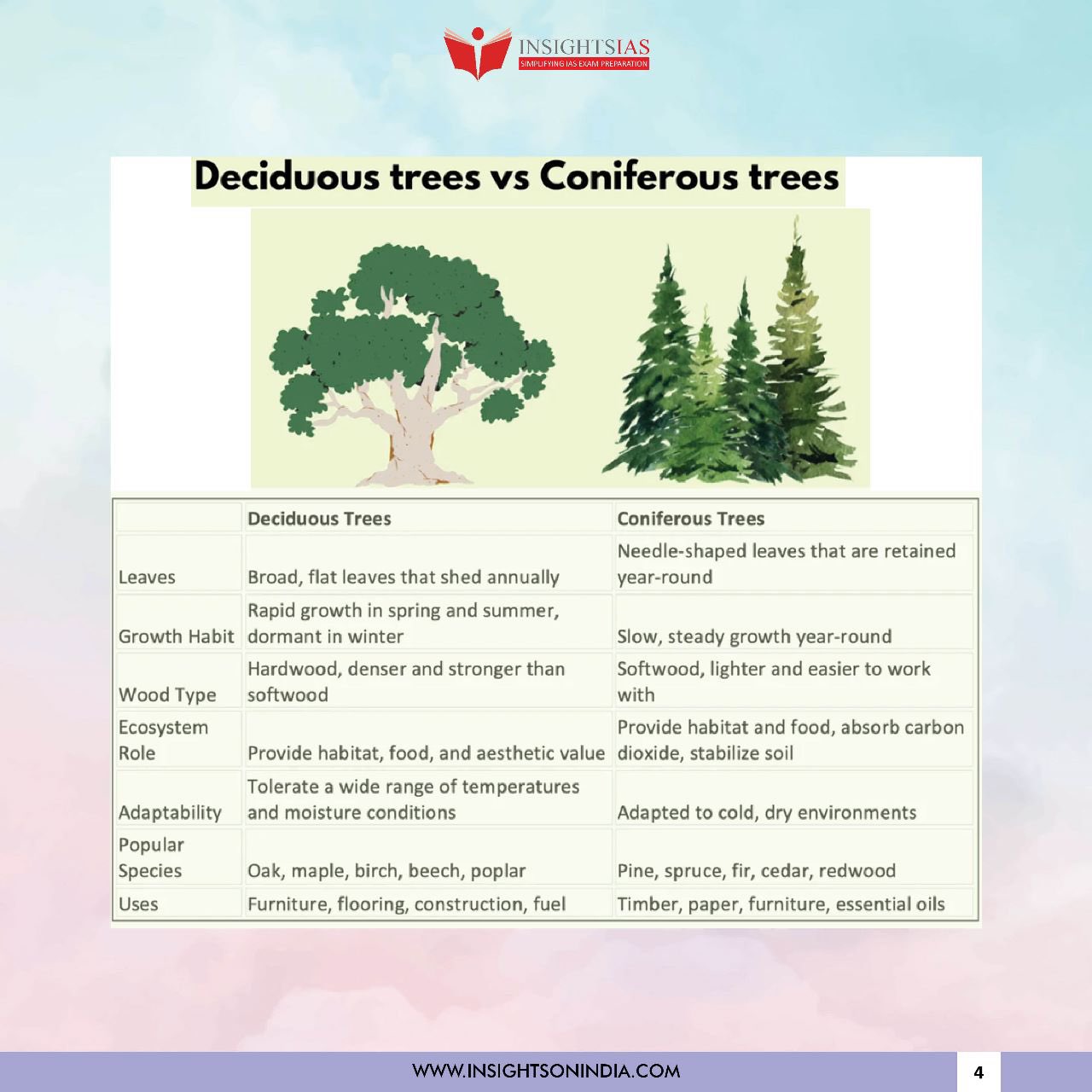 Coniferous Vs Deciduous PPT Coniferous Trees PowerPoint