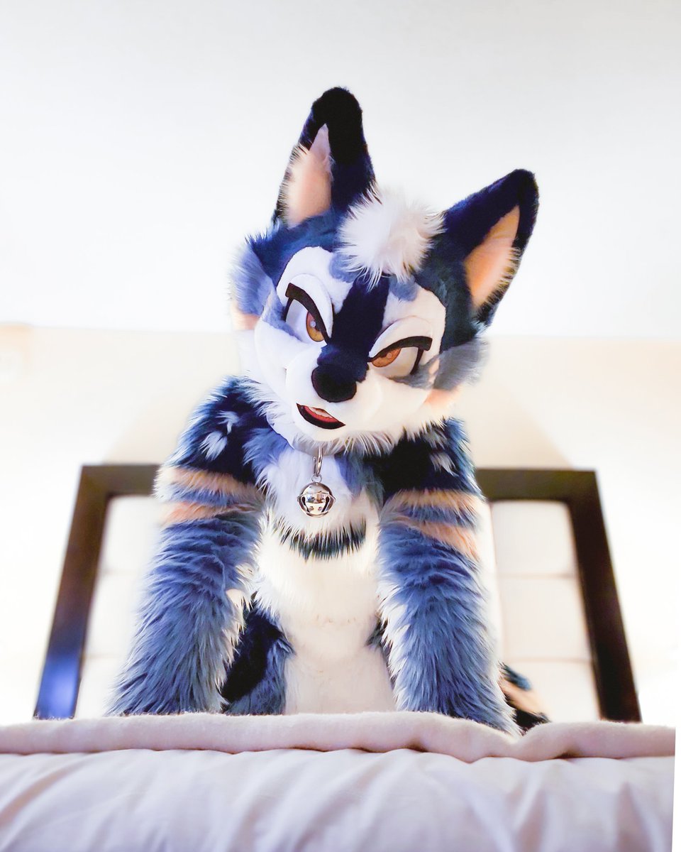 Nightzy 🌙 (@ItsNightzy) さんのイラスト・マンガ作品まとめ (77 件) - Twoucan