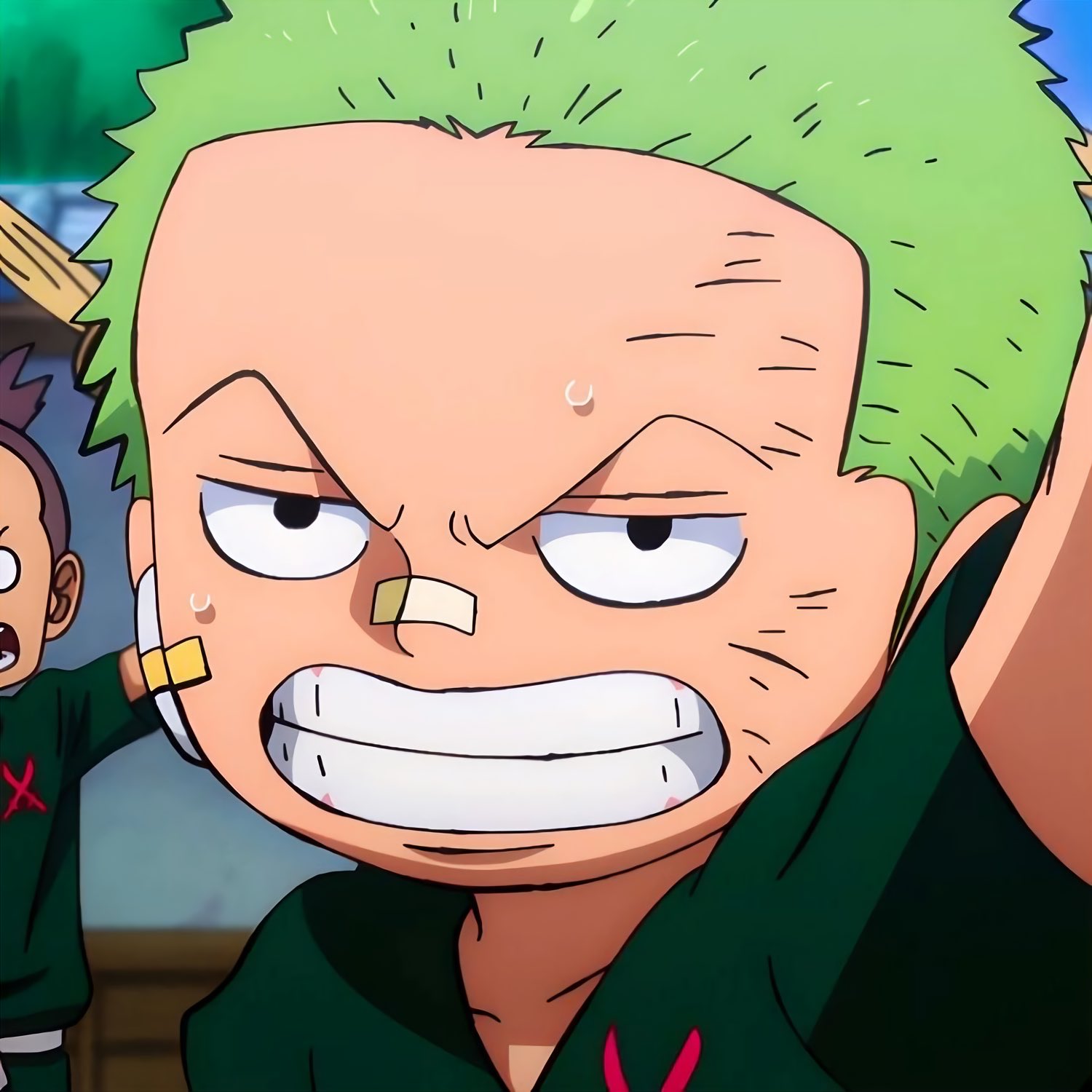 Zoro One Piece Funny Face