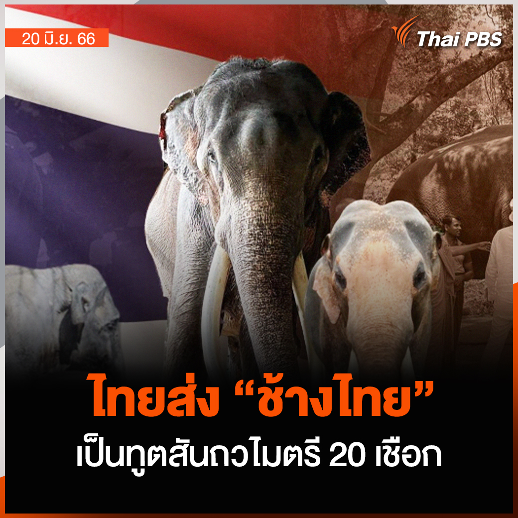 Thai PBS on Twitter: "เปิดข้อมูลกรมอุทยานฯ ก่อนปี 2544-2559 ไทยเคยส่งช้าง 20 เชือก เป็นทูต ...