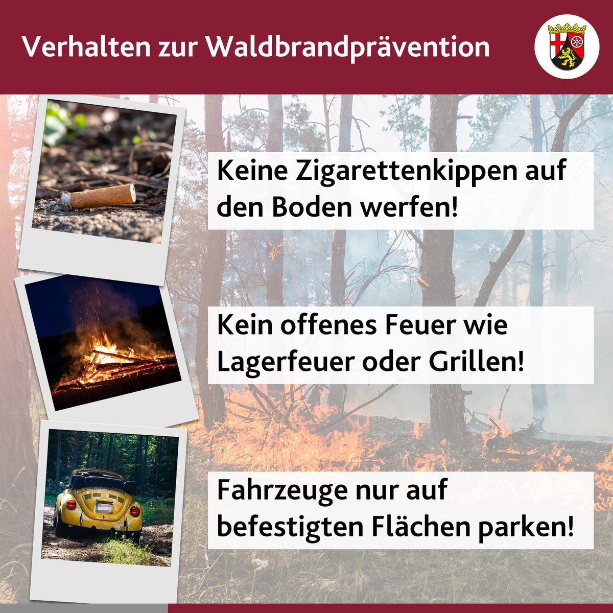 Landesregierung Rheinland-Pfalz on Twitter: Landesregierung Rheinland-Pfalz on Twitter: