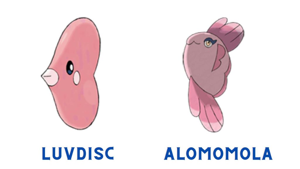 Alomomola Evolution