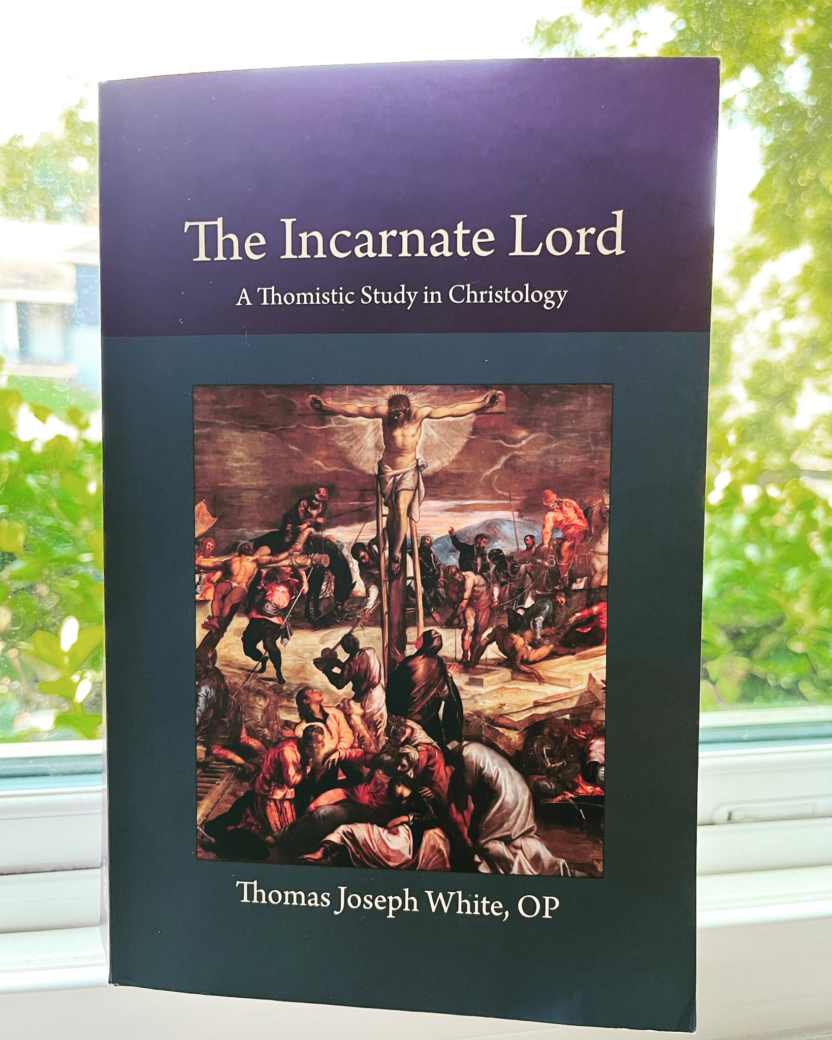 Thomas Aquinas Beatific Vision