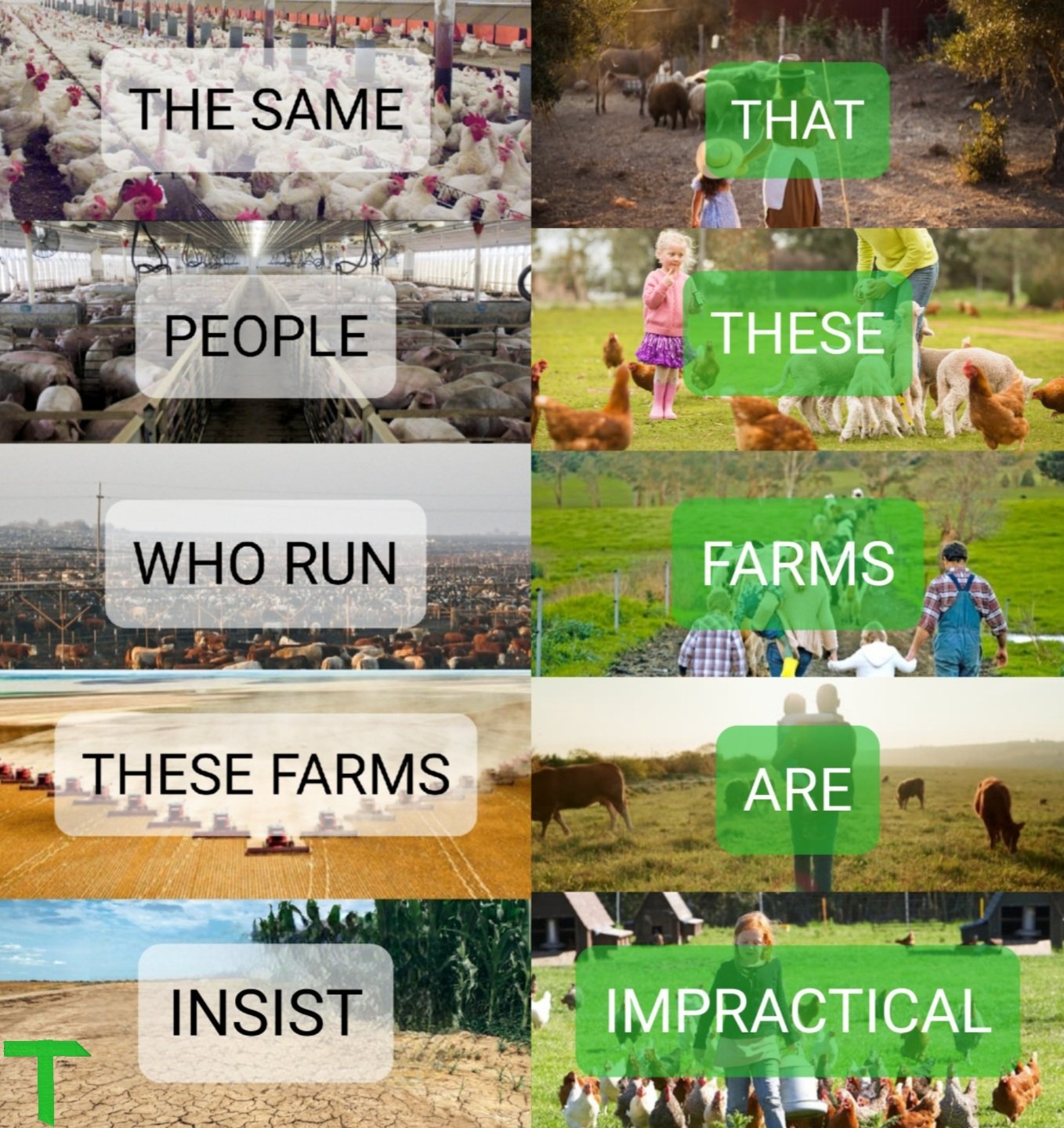 Corn Fed Memes 123 Clever Corn Puns To Amaze Your Friends