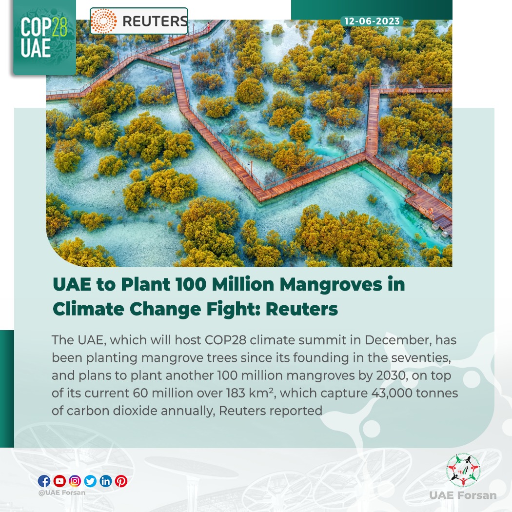 UAE Forsan on Twitter: "UAE to Plant 100 Million Mangroves in Climate Change Fight: Reuters #UAE ...