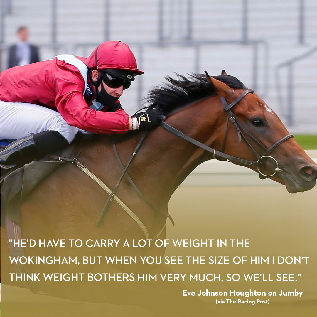 Barrel Racing Quotes