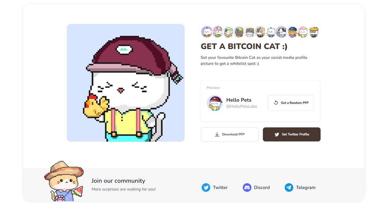 佐仔 🧙🏽‍♂️ on Twitter: "Bitcoin Cats起源于 Hello Pets 的标志性猫角色。它是一个包含 10,000 个独特的、不可改变的和像素风格的收藏品的特殊收藏品 ...
