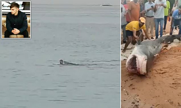 Eaten Alive By A Shark