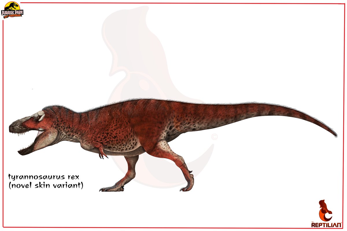 El Reptileano Open Commissions On Twitter Here Is The Information Sheet Of The Tyrannosaurus