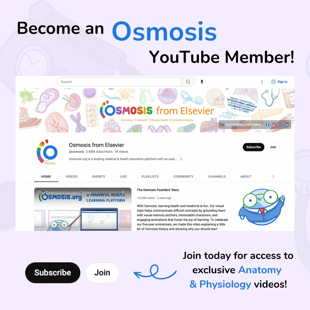 Osmosis from Elsevier on Twitter: Osmosis from Elsevier on Twitter:
