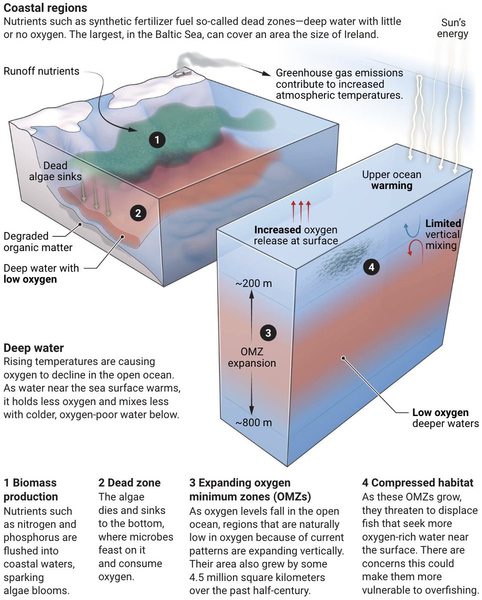 Science Magazine on Twitter: "Average oxygen levels in the ocean have ...