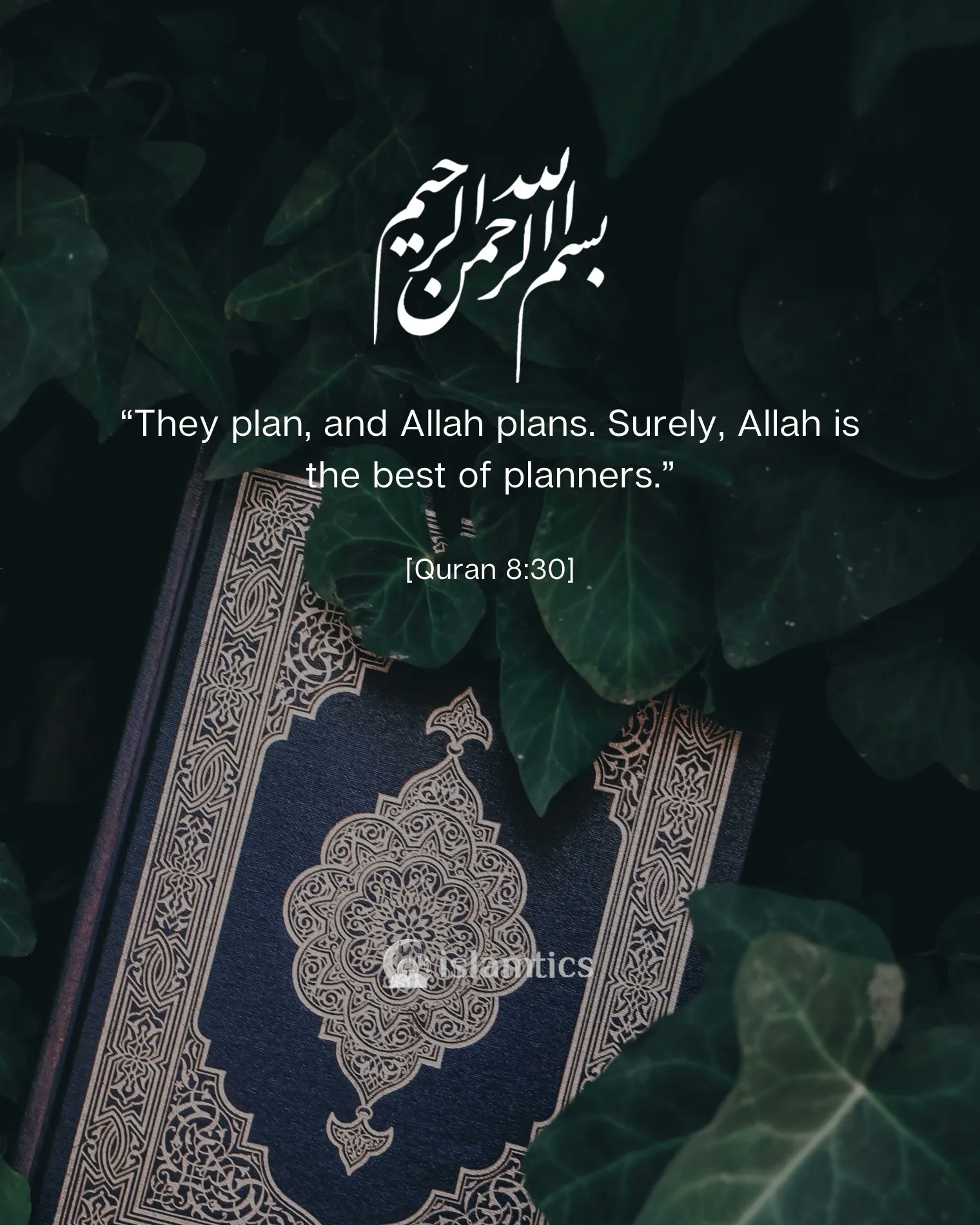 Allah Plans Quotes 𝘔𝘈𝘈𝘙 𝘣𝘳𝘪𝘯𝘨𝘴
