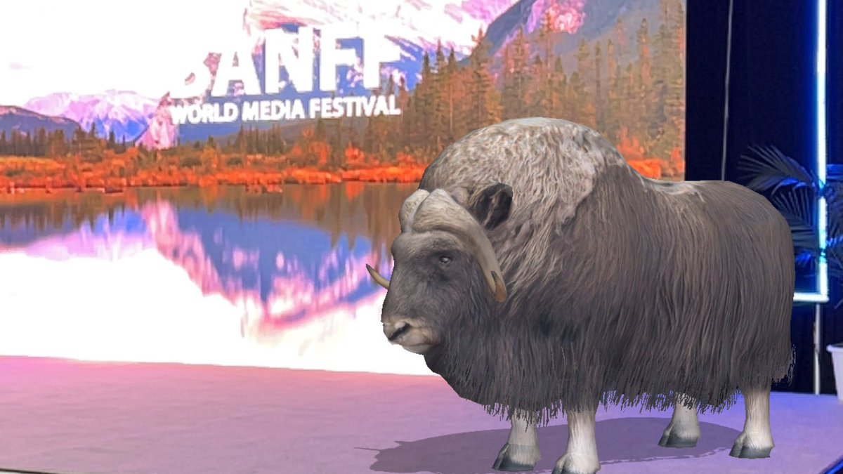 Museum of Nature on Twitter: "Prehistoric Mayhem at the Banff Media Festival! #DYK our Planet ...