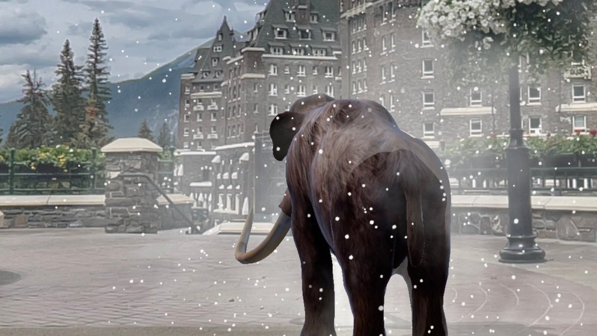 Museum of Nature on Twitter: "Prehistoric Mayhem at the Banff Media Festival! #DYK our Planet ...